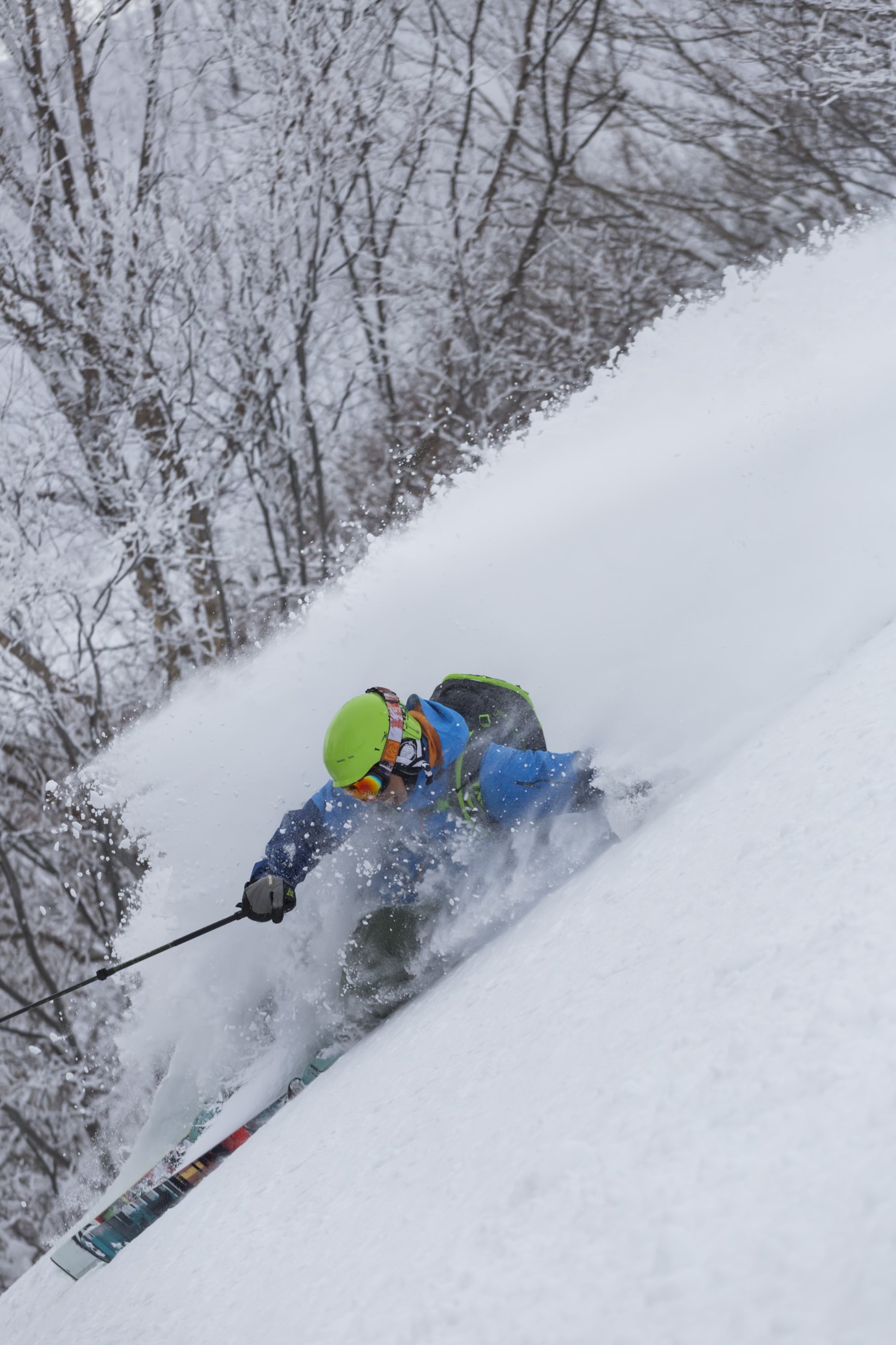 MADARAO | POWDER SKI JAPAN