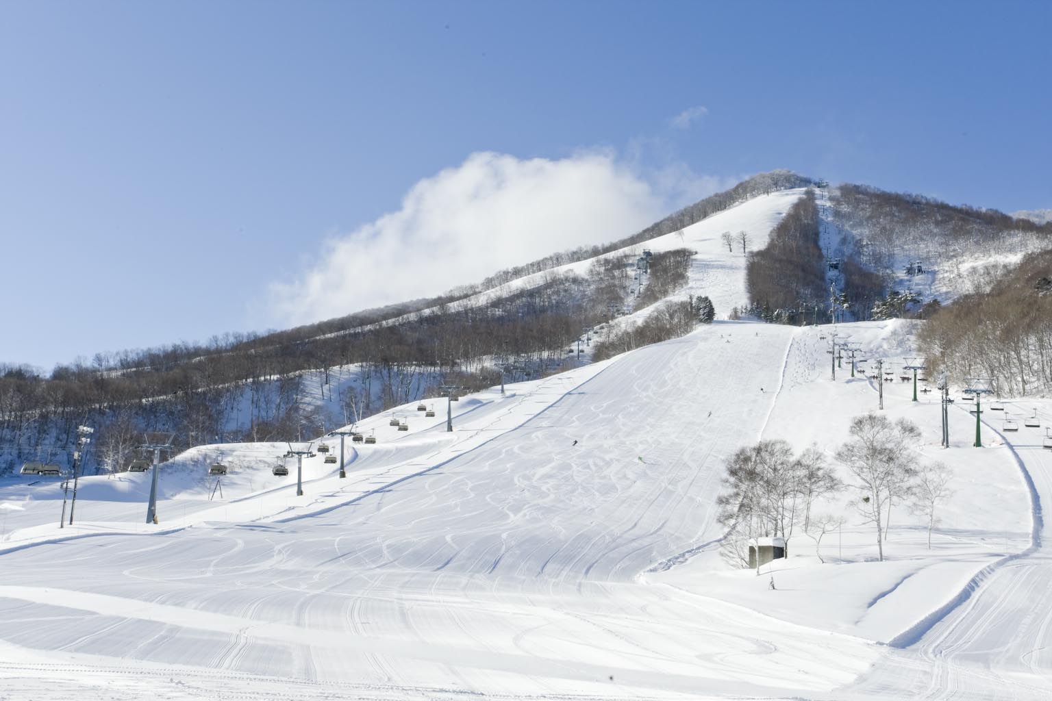 MADARAO | POWDER SKI JAPAN
